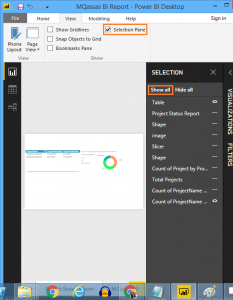 Selection Pane Power BI Feature